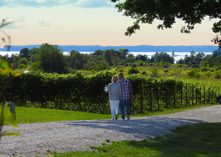 Old Mission Peninsula Wine Trail | Visit Old Mission | Michigan Wineries