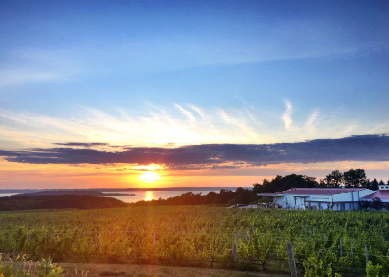 Old Mission Peninsula Wine Trail | Visit Old Mission | Michigan Wineries